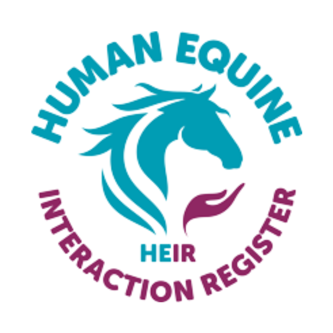 How It Works – RideHigh